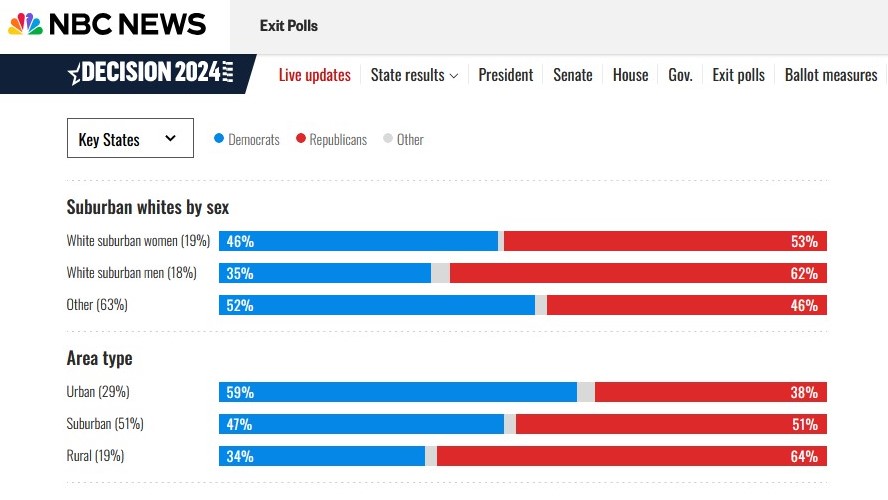 Exit poll data on suburbanites in key states in the 2024 presidential ...